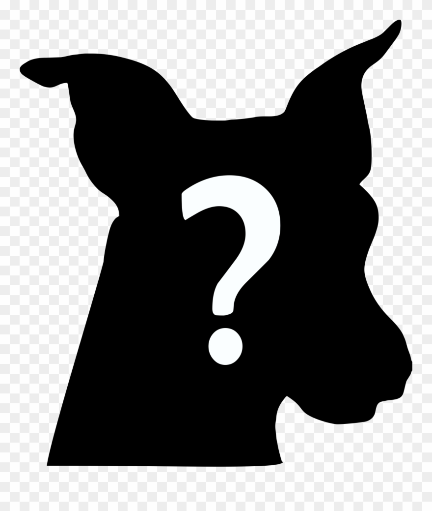 Mystery clipart dog, Picture #2997126 mystery clipart dog