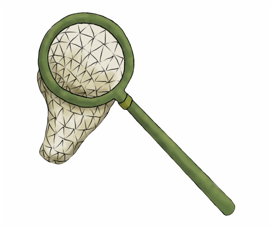 Net clipart bug net, Picture #3006693 net clipart bug net