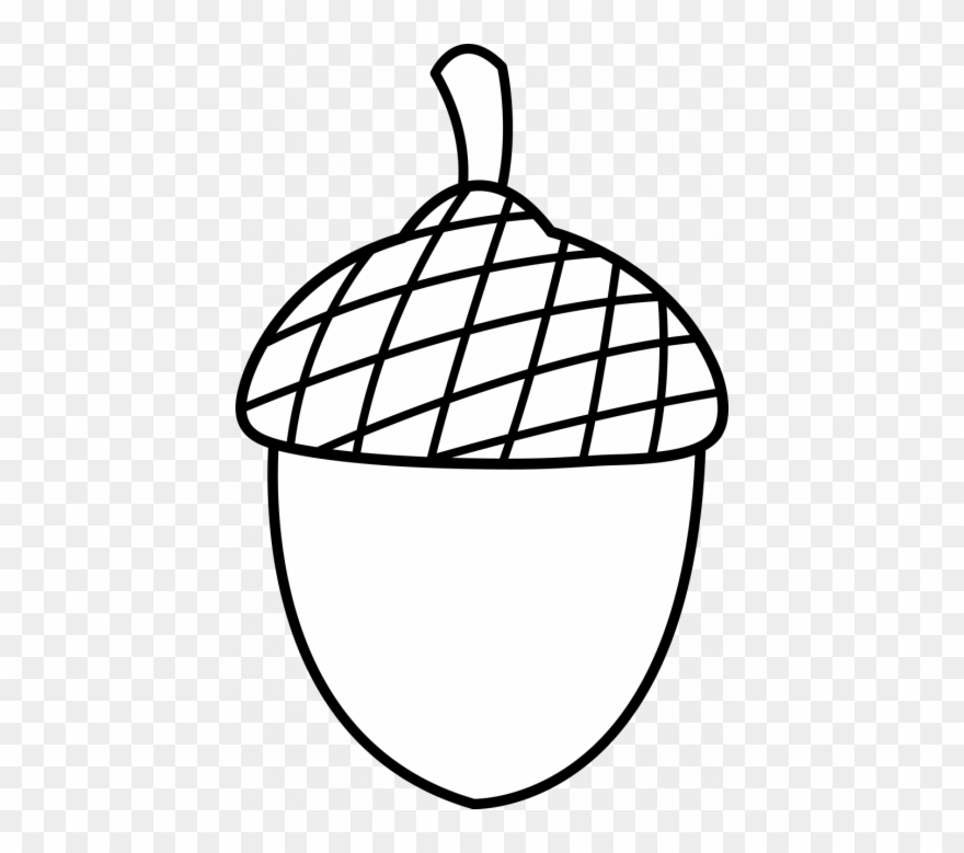 Nuts clipart colouring, Picture #3022548 nuts clipart colouring