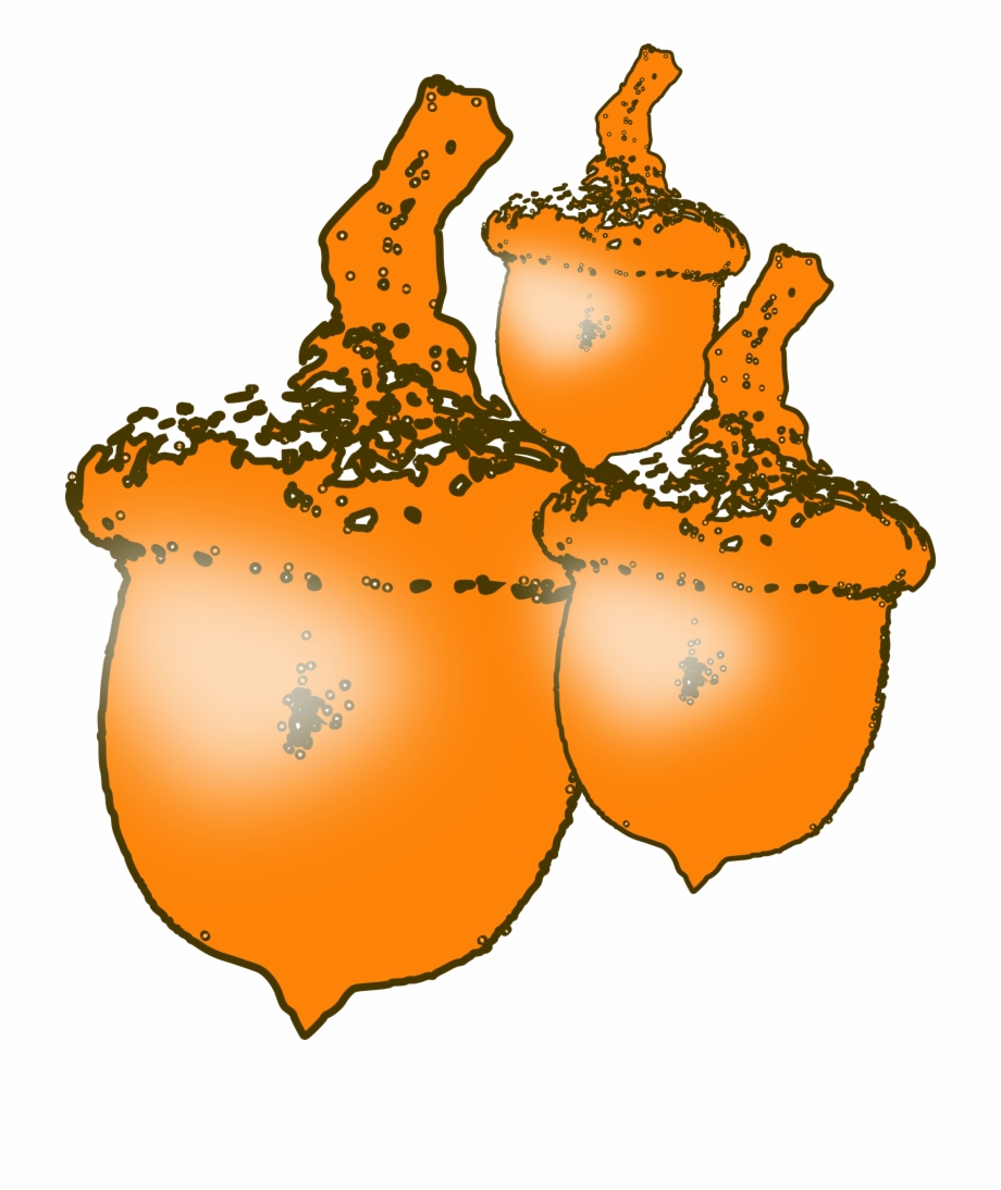 Nuts clipart animated, Nuts animated Transparent FREE for download on ...