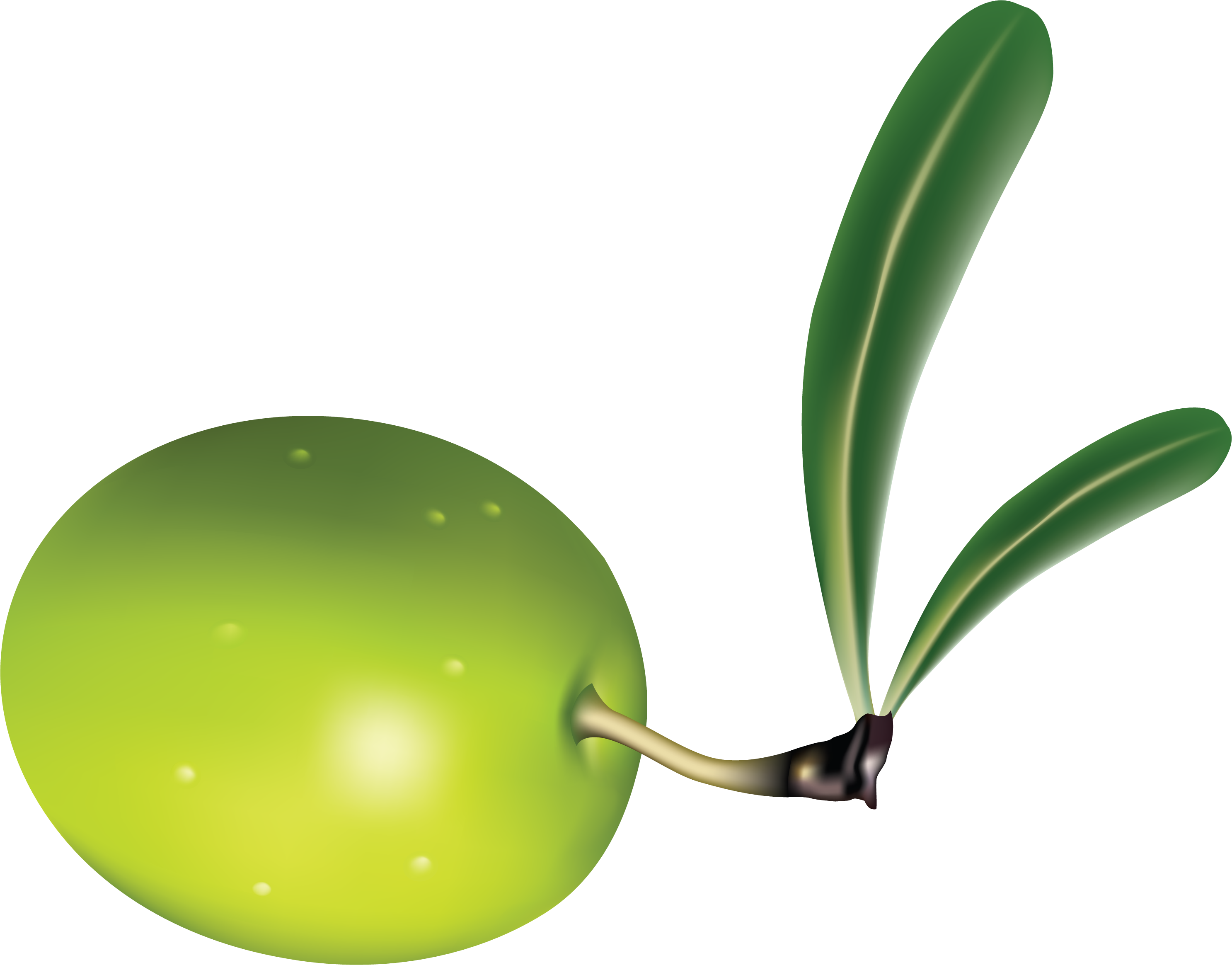 Olive clipart transparent, Olive transparent Transparent FREE for ...