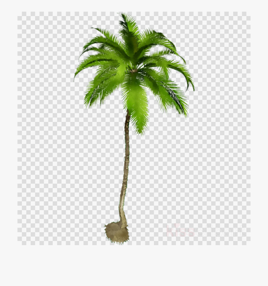 Palm clipart buko, Picture #3044979 palm clipart buko