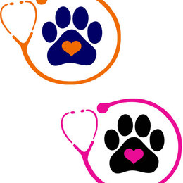 Paws clipart vet, Paws vet Transparent FREE for download on ...