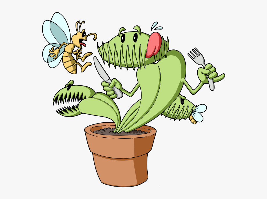 Plants clipart venus fly trap, Picture #3095221 plants clipart venus ...