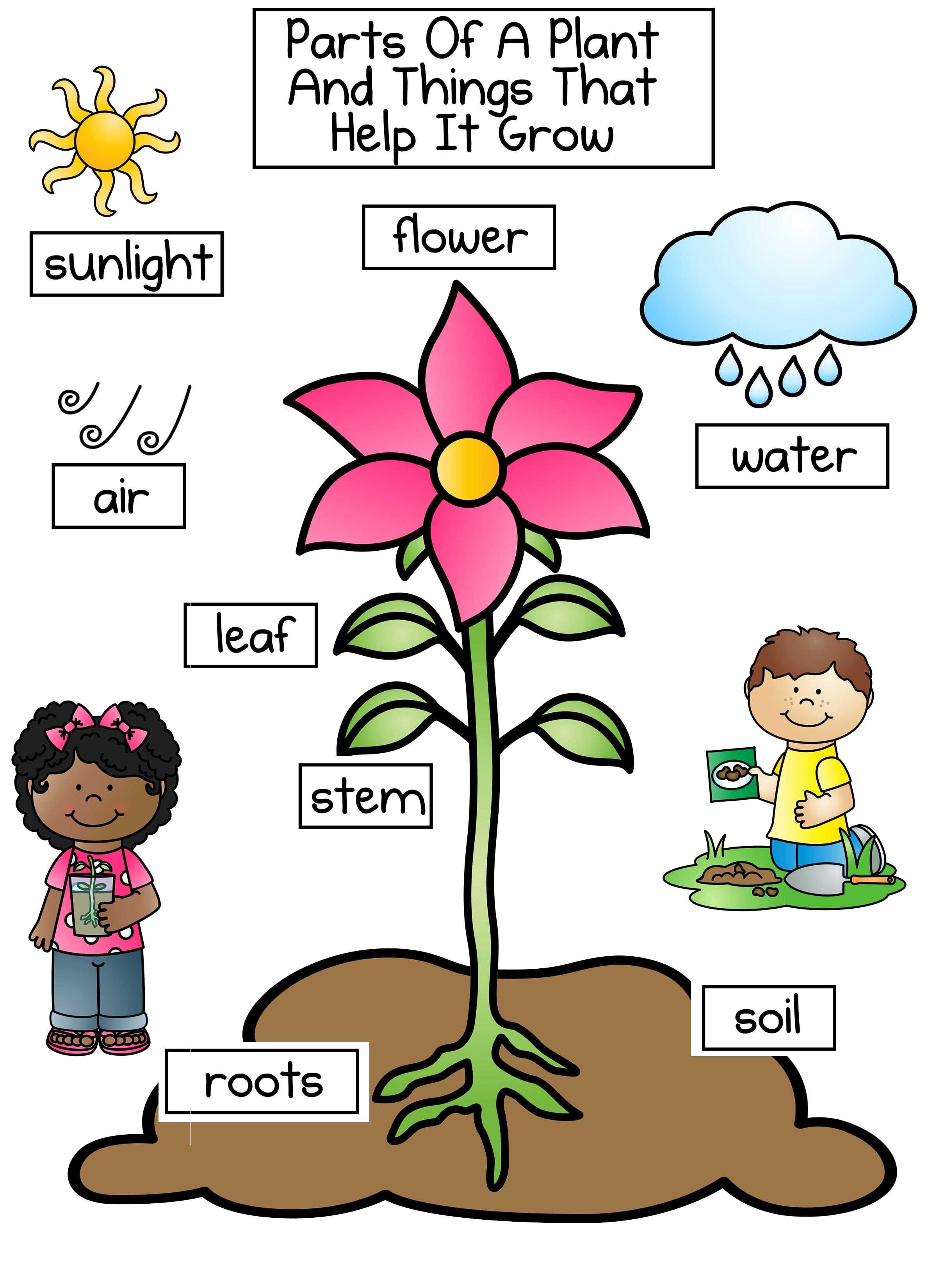 Planting Clipart Part Plant Planting Part Plant Transparent FREE For Planting Clipart Part Plant Planting Part Plant Transparent FREE For