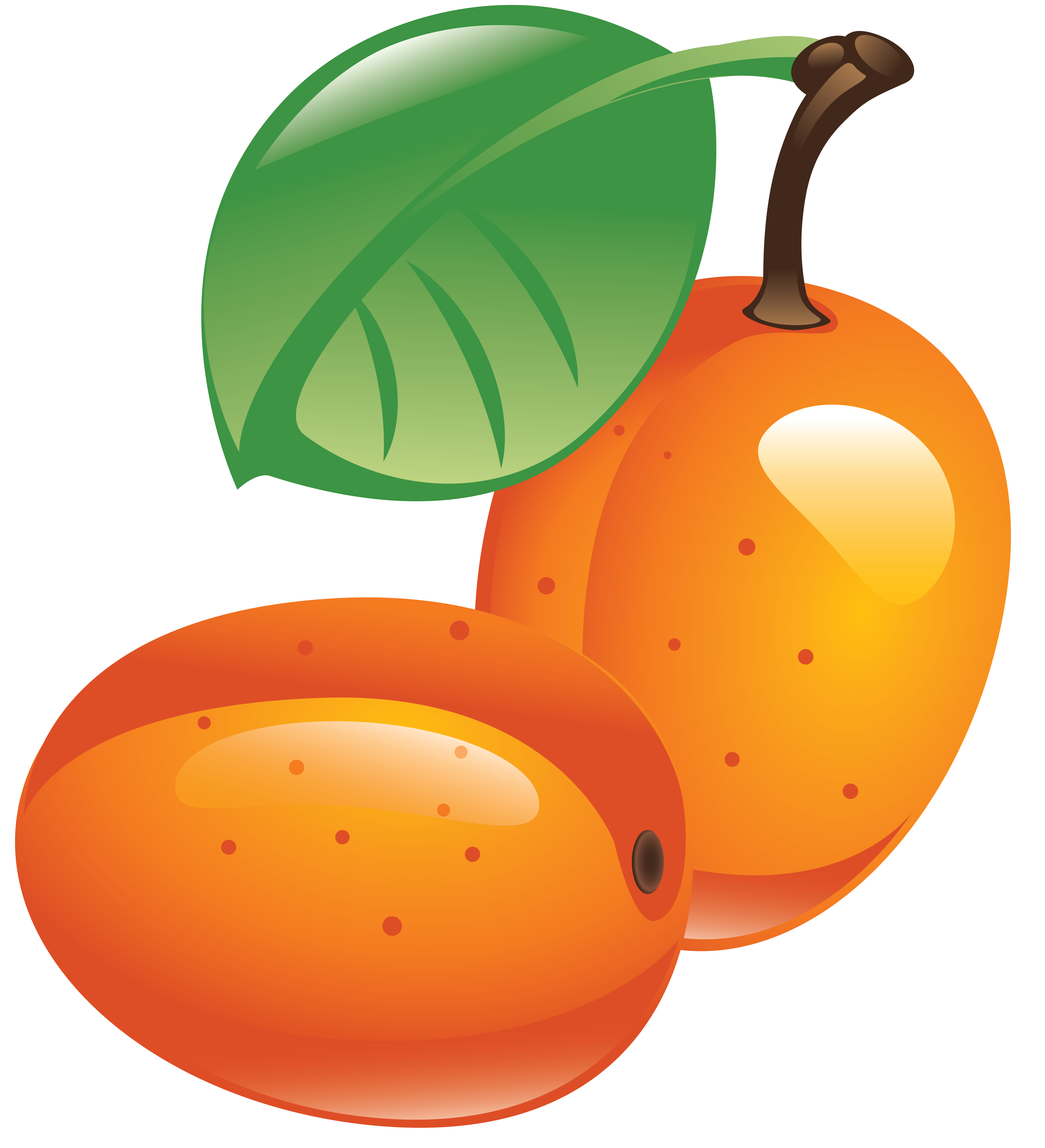 Plum clipart june, Plum june Transparent FREE for download on ...