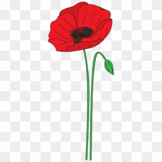 Poppy clipart ww1, Picture #3112897 poppy clipart ww1
