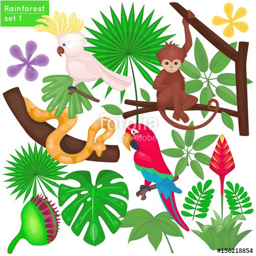 Rainforest clipart simple cartoon, Picture #3121629 rainforest clipart ...