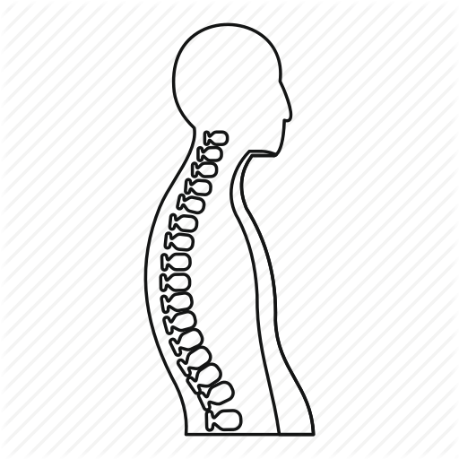 Spine clipart animal backbone, Picture #3168808 spine clipart animal ...